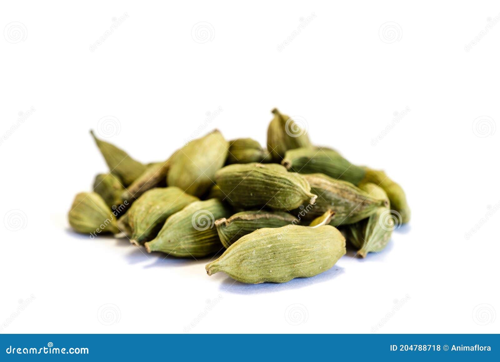 Cardamomo Aislado Sobre Fondo Blanco Foto de archivo - Imagen de ...