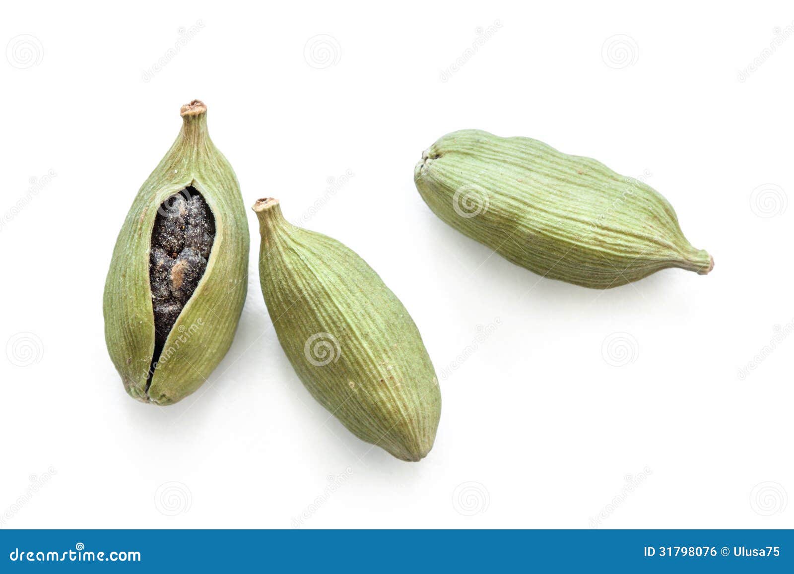 Cardamomo verde fotografia stock. Immagine di aromatico - 31798076