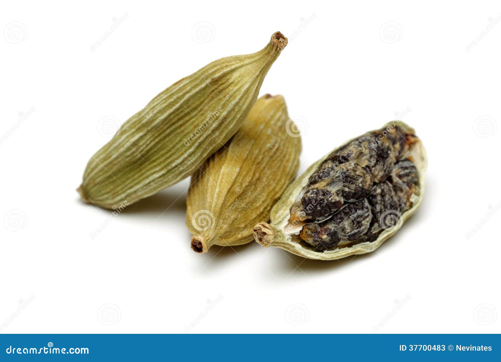 Cardamomo verde imagen de archivo. Imagen de hierba, herbario - 37700483
