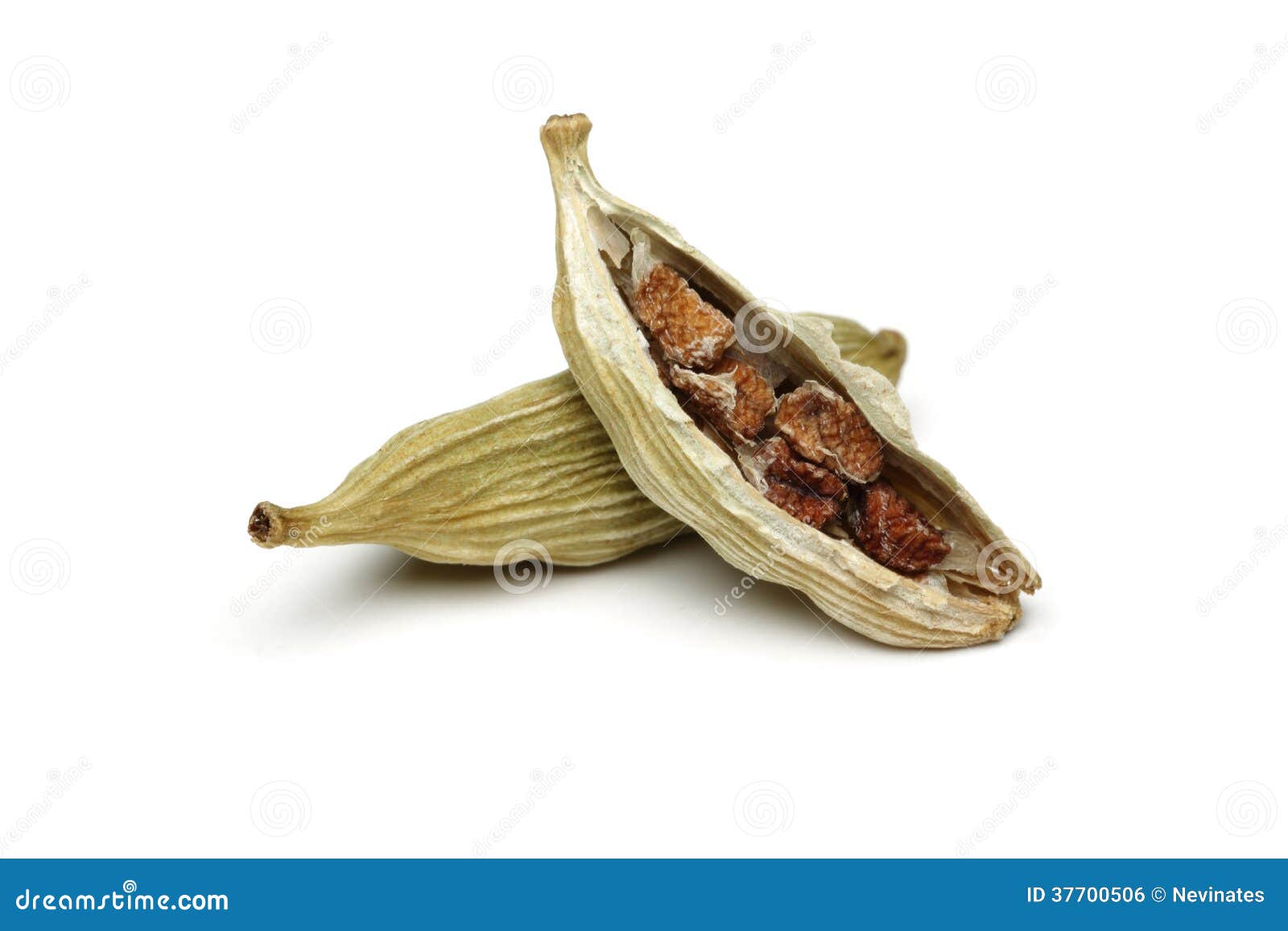 Cardamomo verde foto de archivo. Imagen de herbario, condimento - 37700506