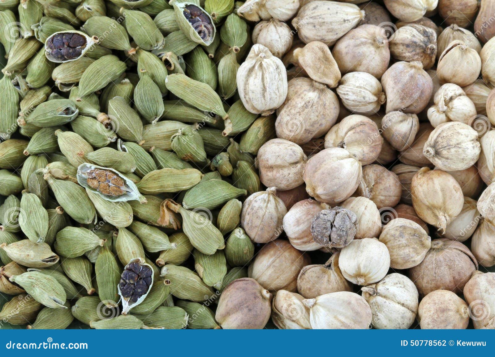 Cardamomo Verde Verde E Cardamomo Siamese Rotondo Fotografia Stock ...