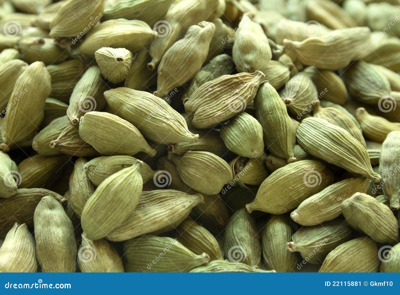 Cardamon stock image. Image of condiment, organic, cardamon - 22115881