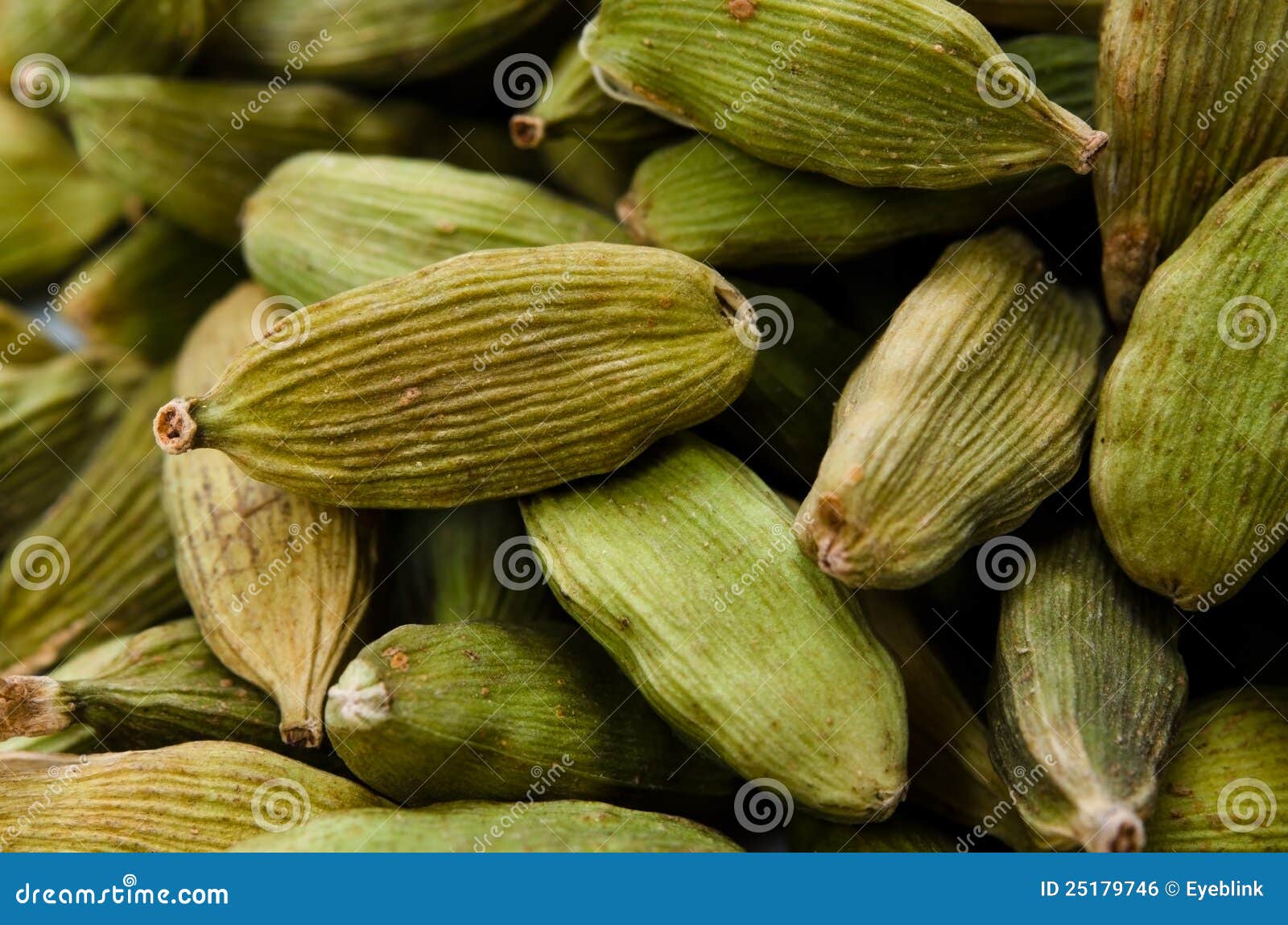 Cardamon zdjęcie stock. Obraz złożonej z posiłek, zdrowy - 25179746