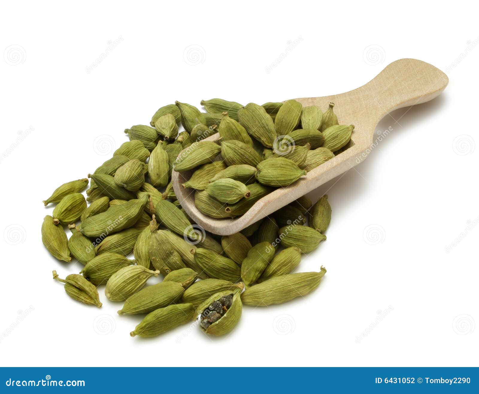 Cardamon stock photo. Image of white, green, isolated - 6431052