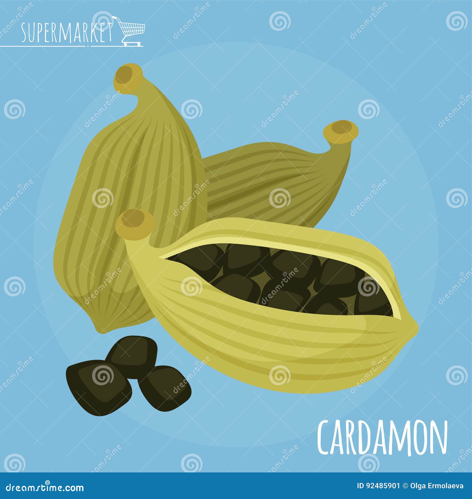 Cardamon Flat Design Vector Icon. Stock Vector - Illustration of green ...
