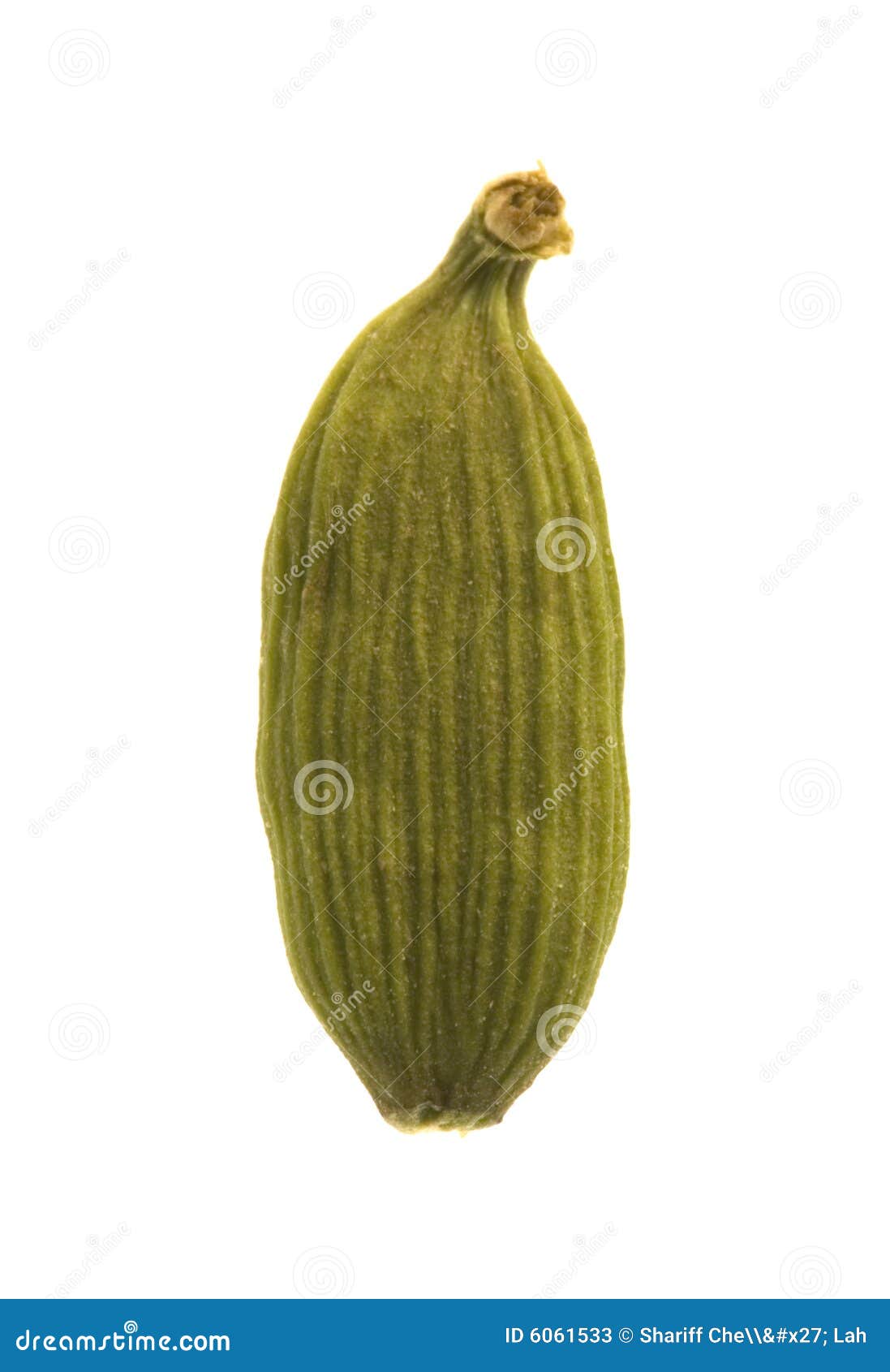 Cardamon Seed Macro stock image. Image of food, herb, anis - 6061533