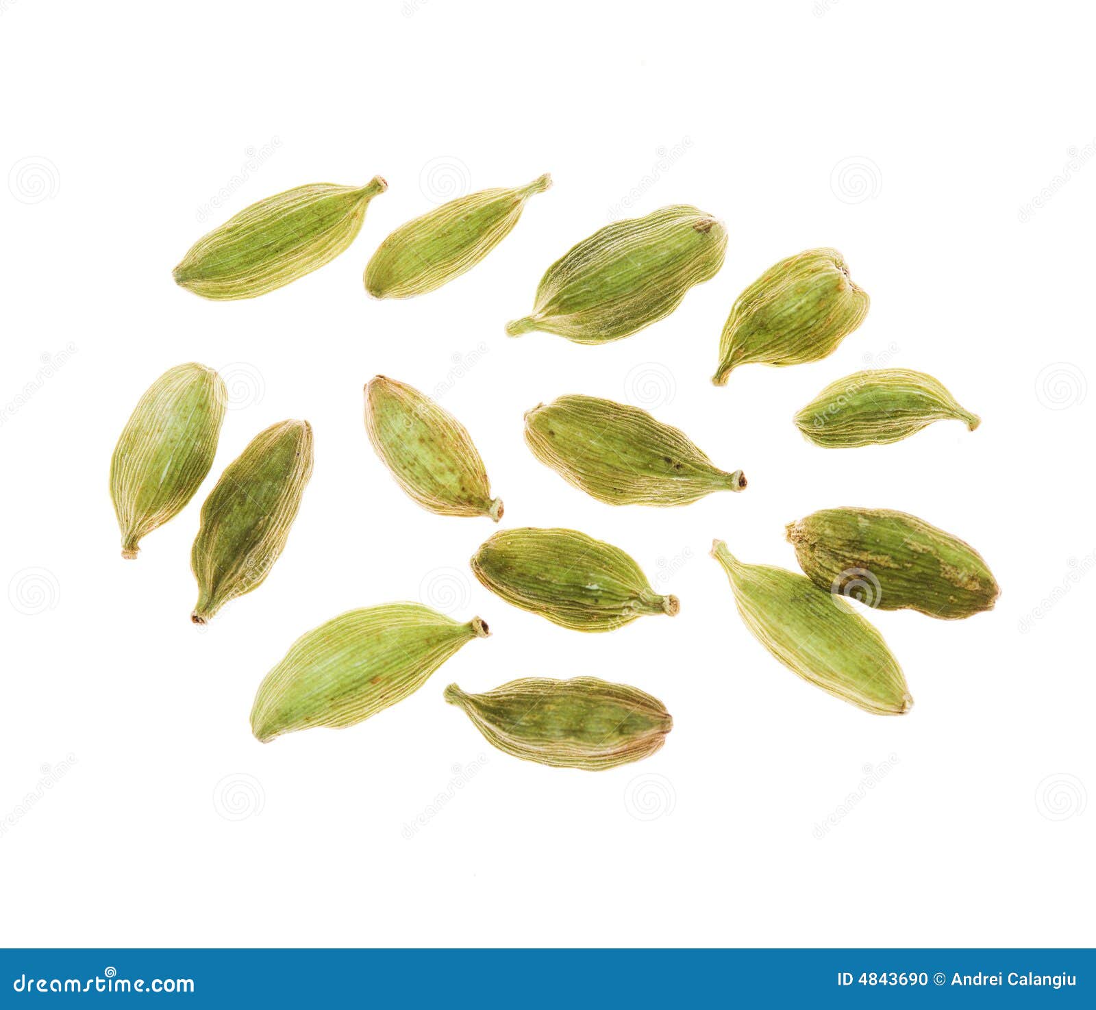 Cardamon spice stock photo. Image of cardamom, seed, isolated - 4843690