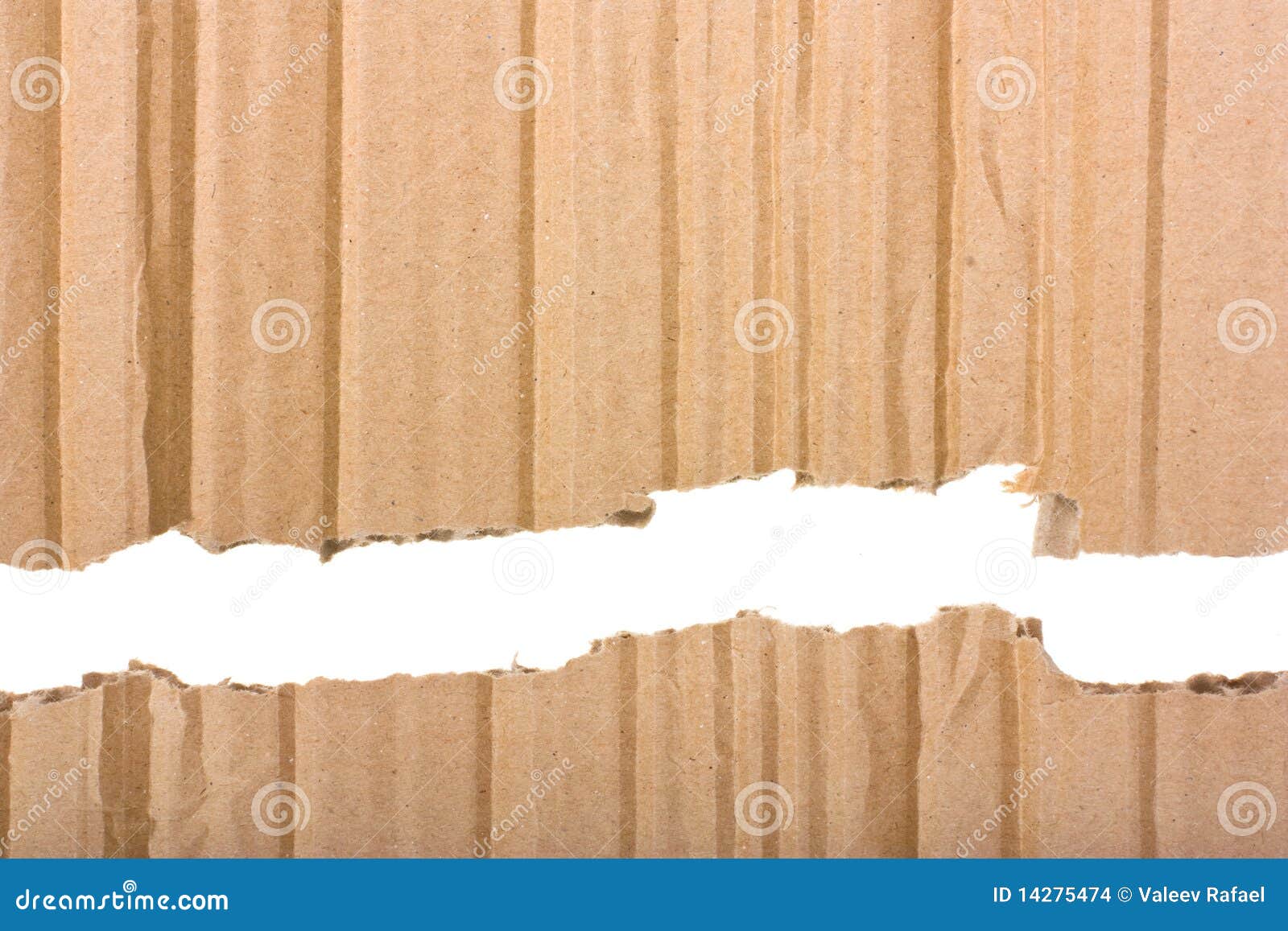 Cardboard stock photo. Image of crumpled, paper, packing - 14275474