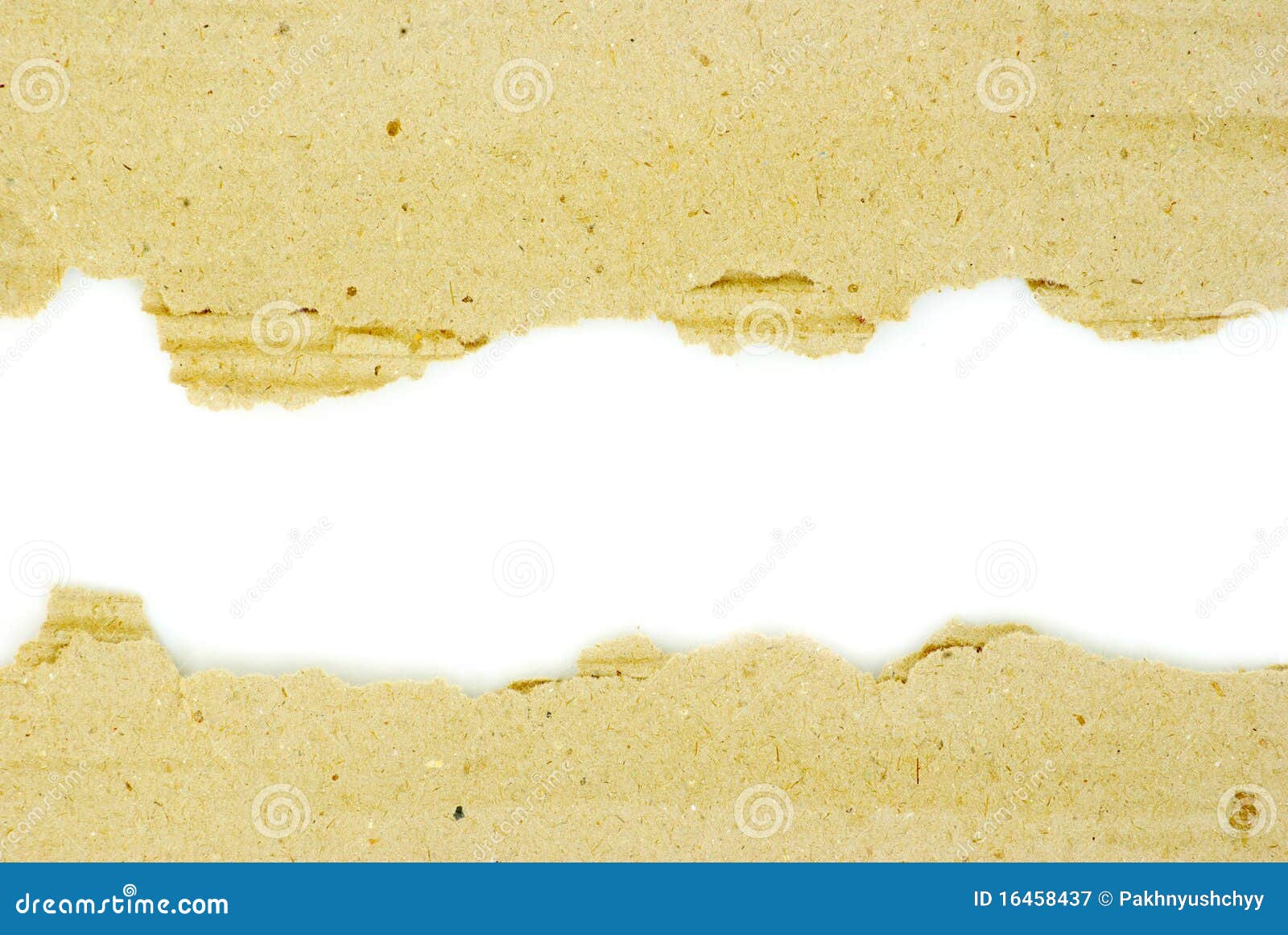 Cardboard stock image. Image of isolated, blank, cardboard - 16458437