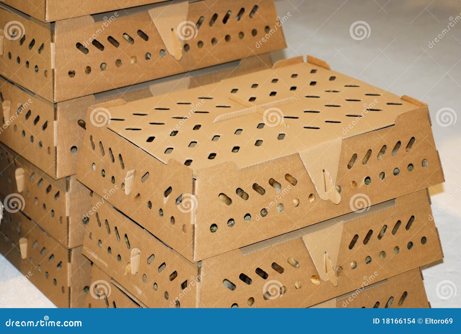 Chick Cardboard Shipping Boxes