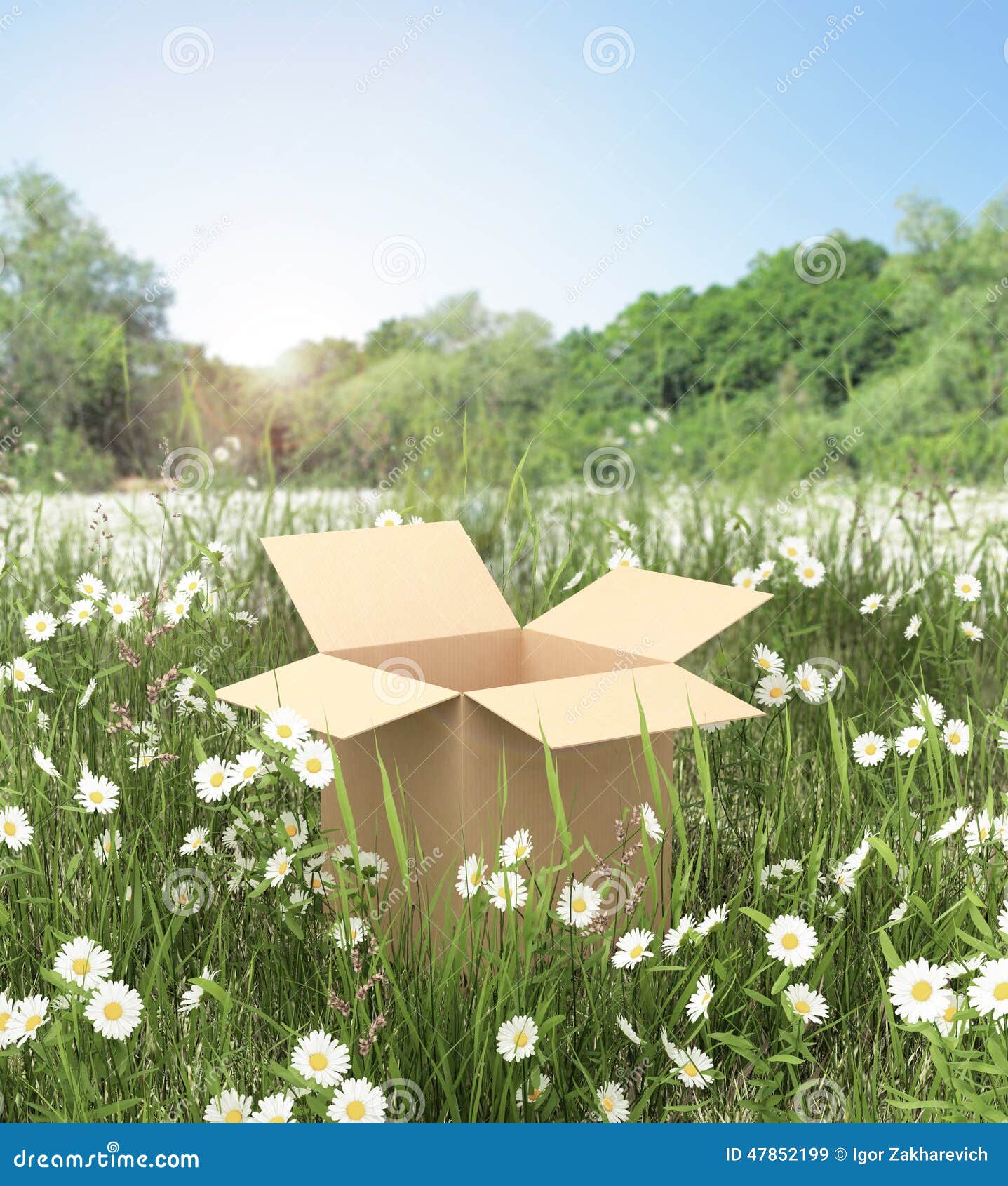 Cardboard box stock image. Image of package, wrap, idea - 47852199