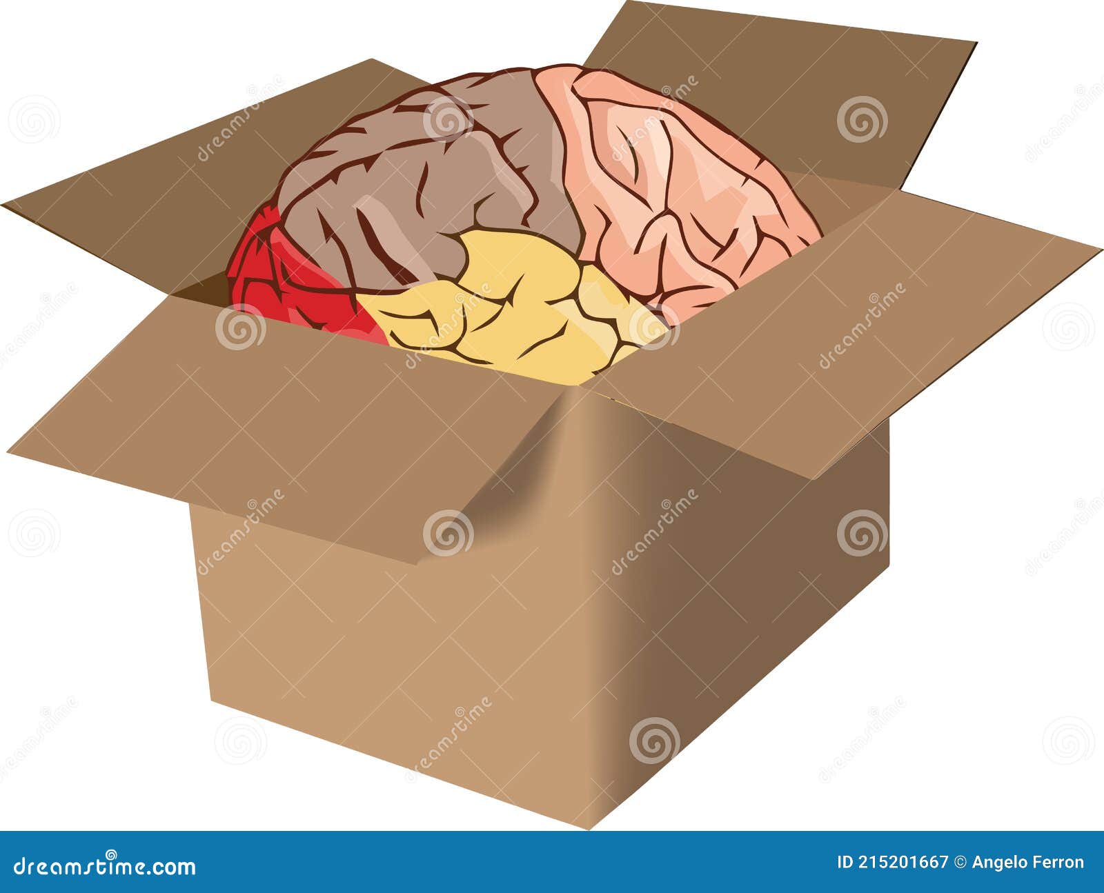 Cardboard Box with Human Brain Cardboard Box with Human Brain Stock ...