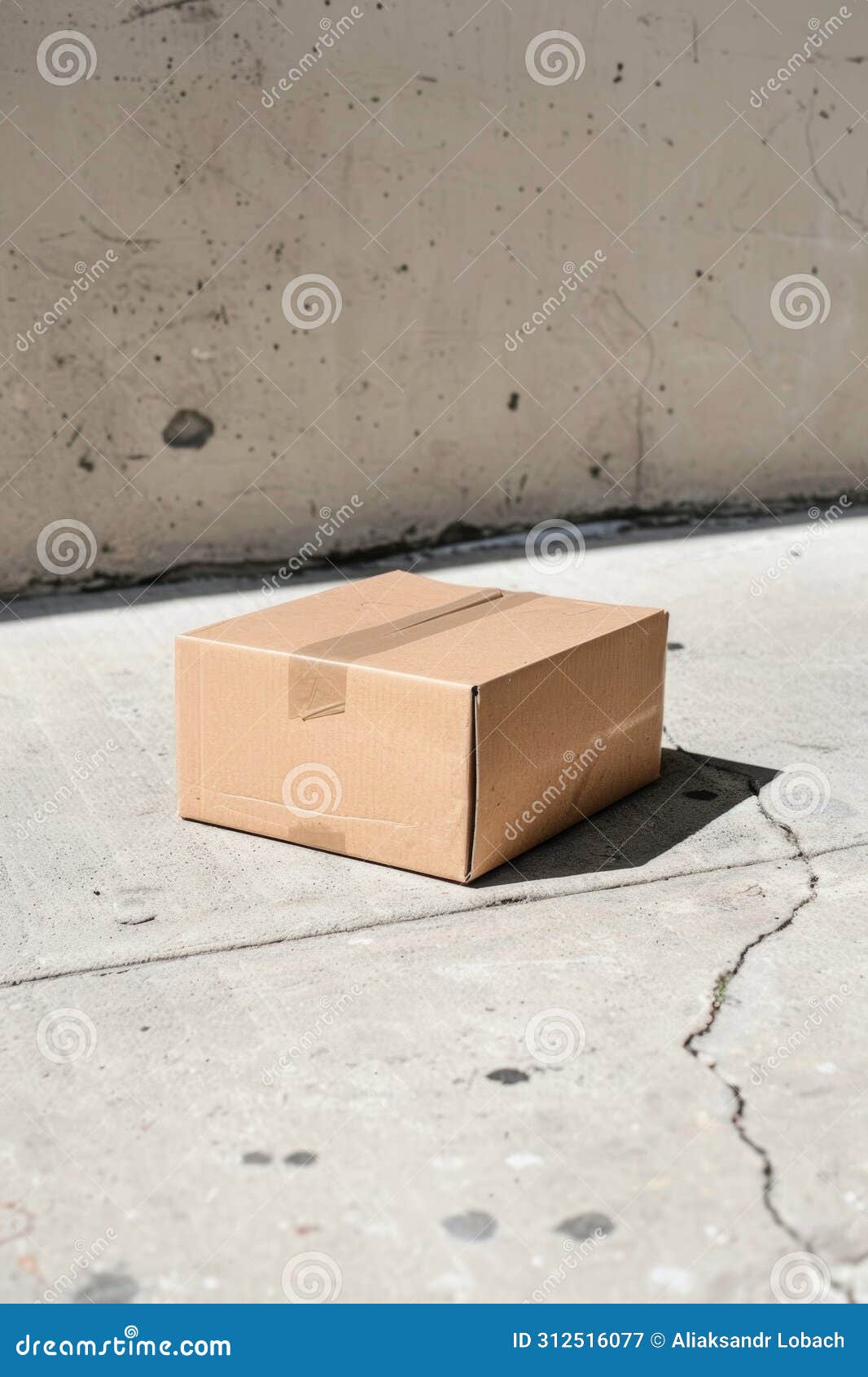 The Cardboard Box is Lying on the Surface Outdoors Stock Image - Image ...