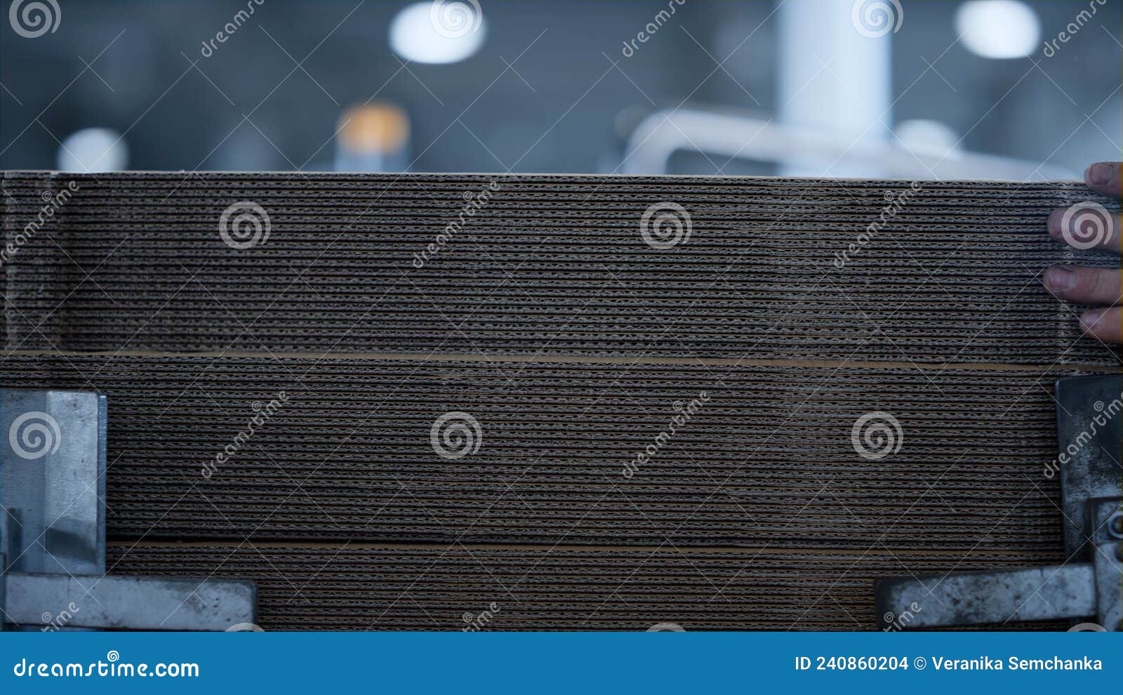 Cardboard Box Package Production Process at Modern Factory Loading ...