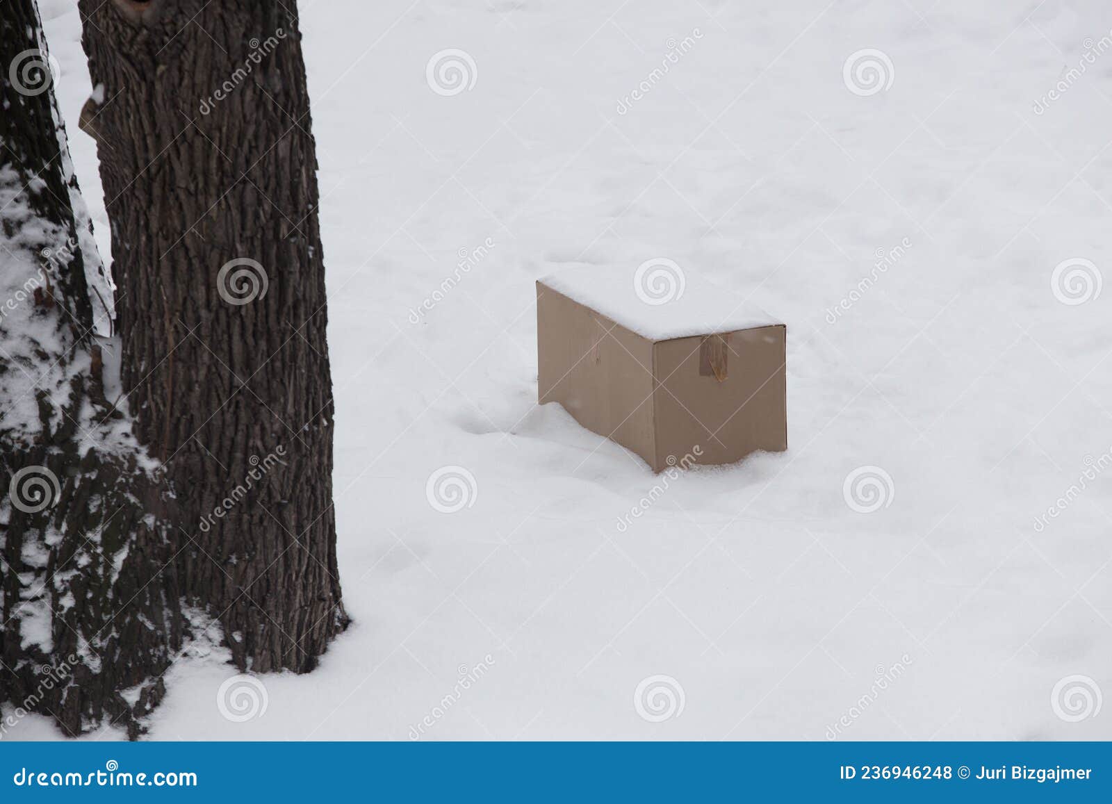Cardboard Box in Winter in the Snow Stock Photo - Image of parcel ...