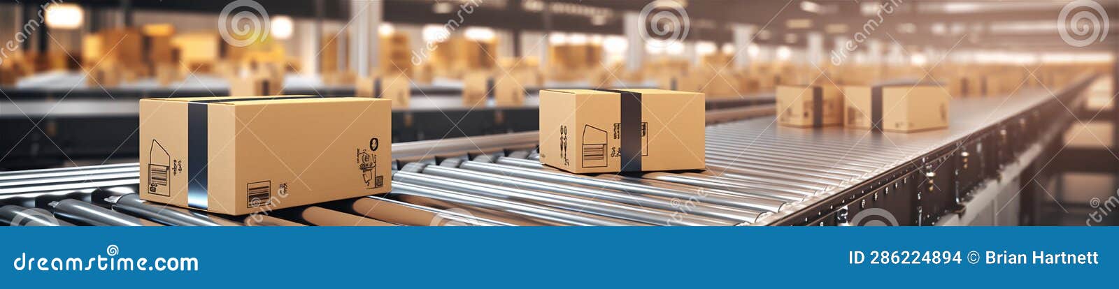 Cardboard Boxed Packages on a Belt Driven Line Roller Conveyor in a ...