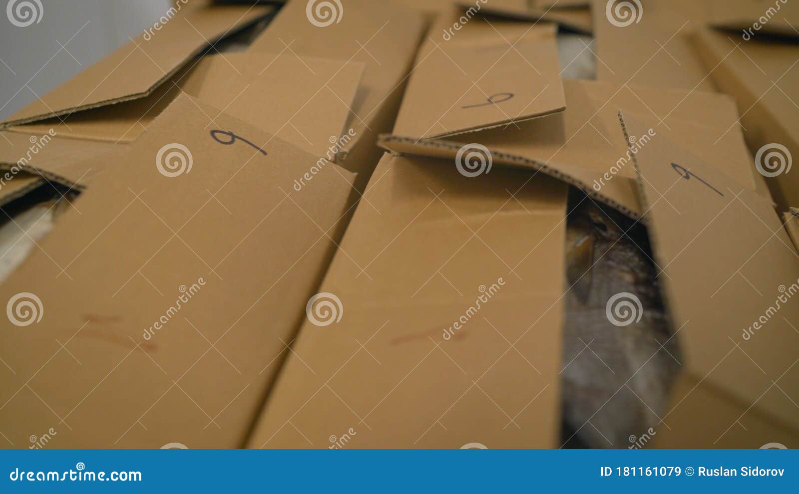 Cardboard Boxes with Fish Inside. Dried Fish at the Warehouse, Inside ...