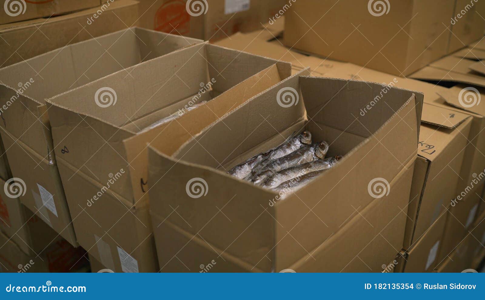 Cardboard Boxes with Fish in the Warehouse. Fish in a Box before ...