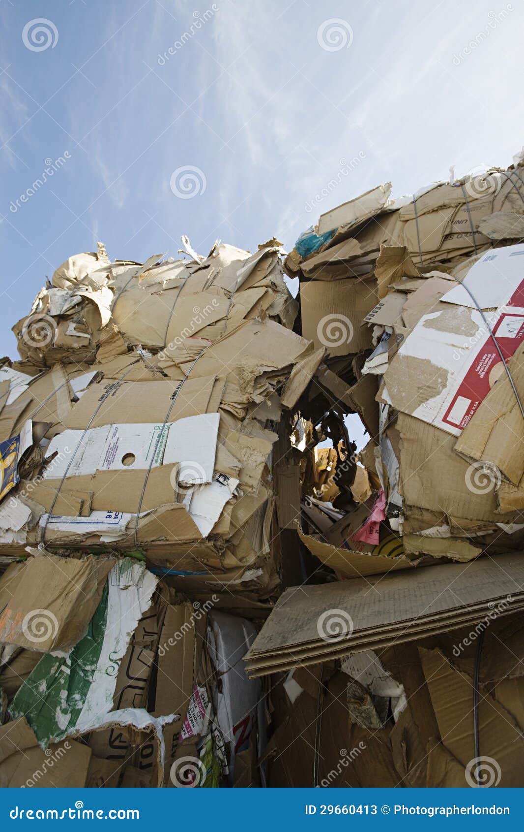 Cardboard Boxes in Junkyard Stock Image - Image of plant, cardboard ...