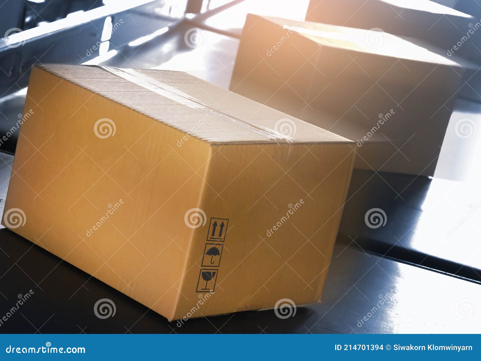 Shipment Package Boxes Sorting On Conveyor Belt. Manufacturing ...