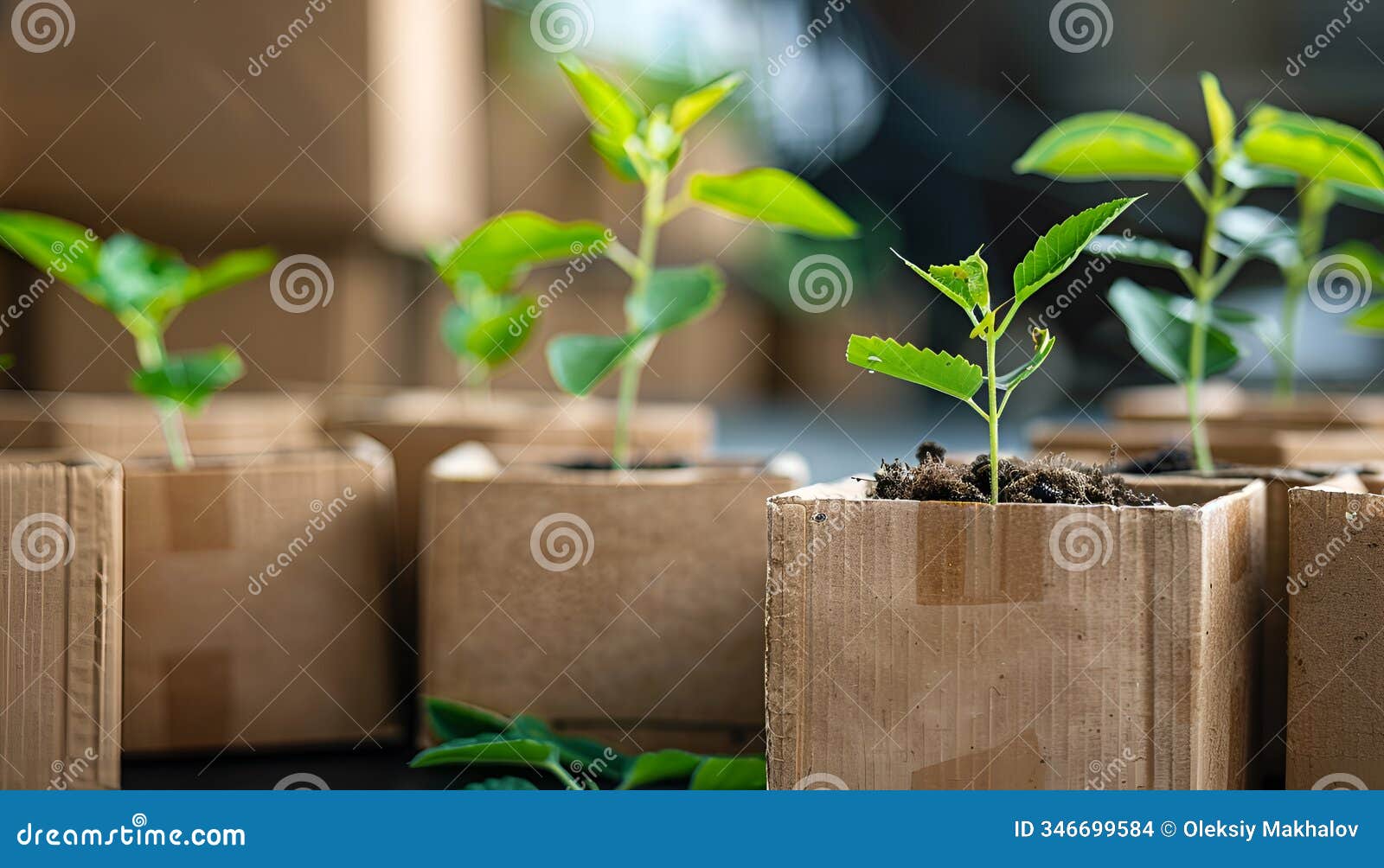 Cardboard Boxes with Plants Growing Inside, Symbolizing Eco-friendly ...