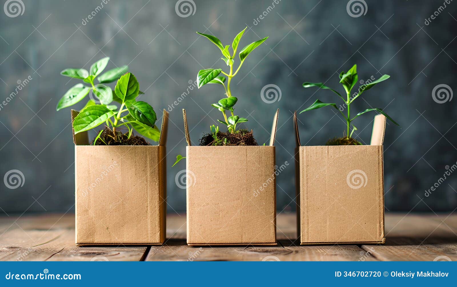 Cardboard Boxes with Plants Growing Inside, Symbolizing Eco-friendly ...
