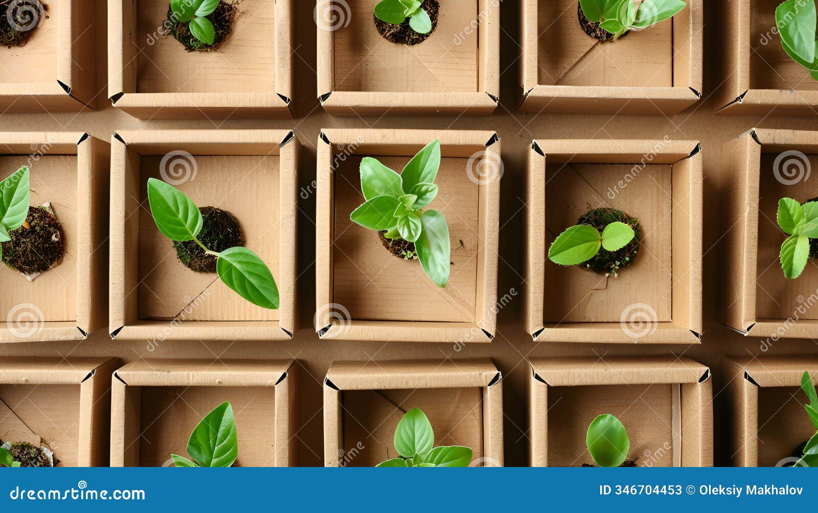 Cardboard Boxes with Plants Growing Inside, Symbolizing Eco-friendly ...