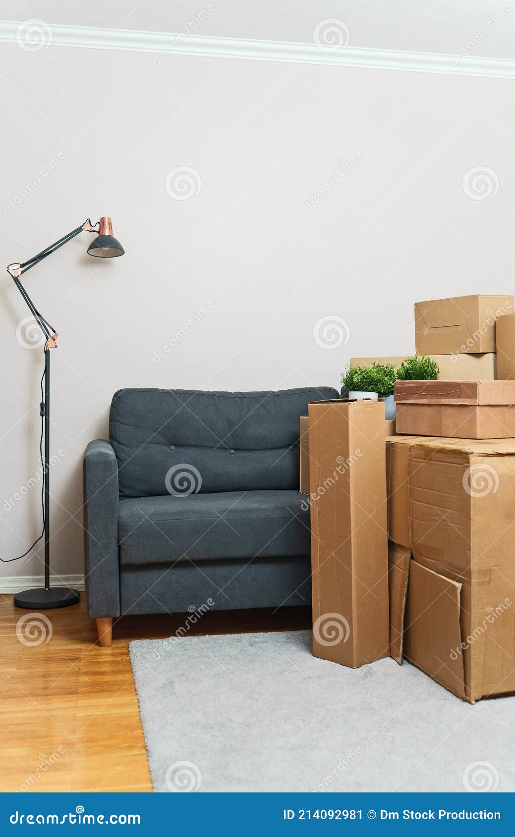 Cardboard boxes in room. stock image. Image of movement - 214092981
