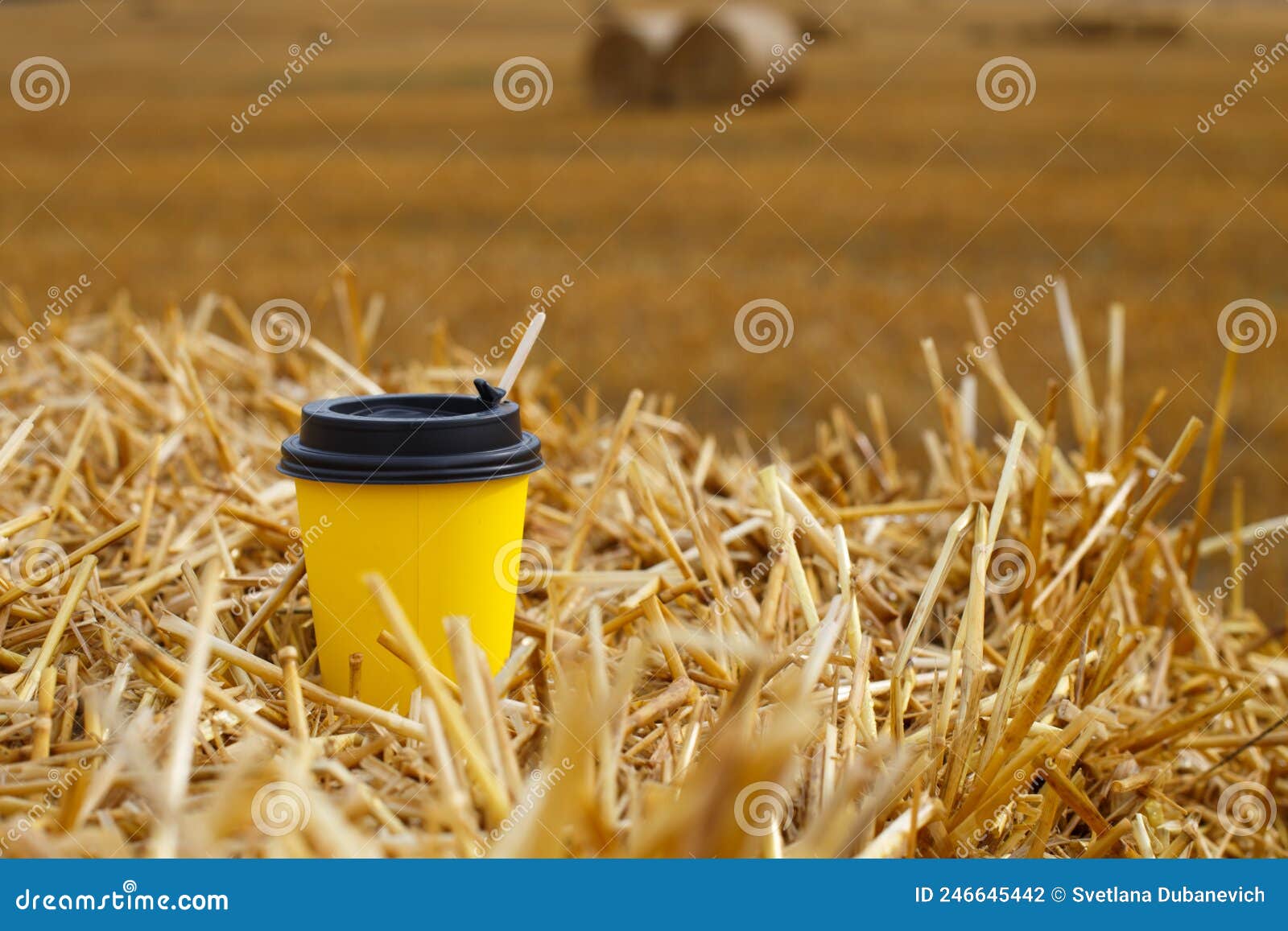 Cardboard Cup of Coffee or Tea on the Field with Hay Straw Bales Stock ...