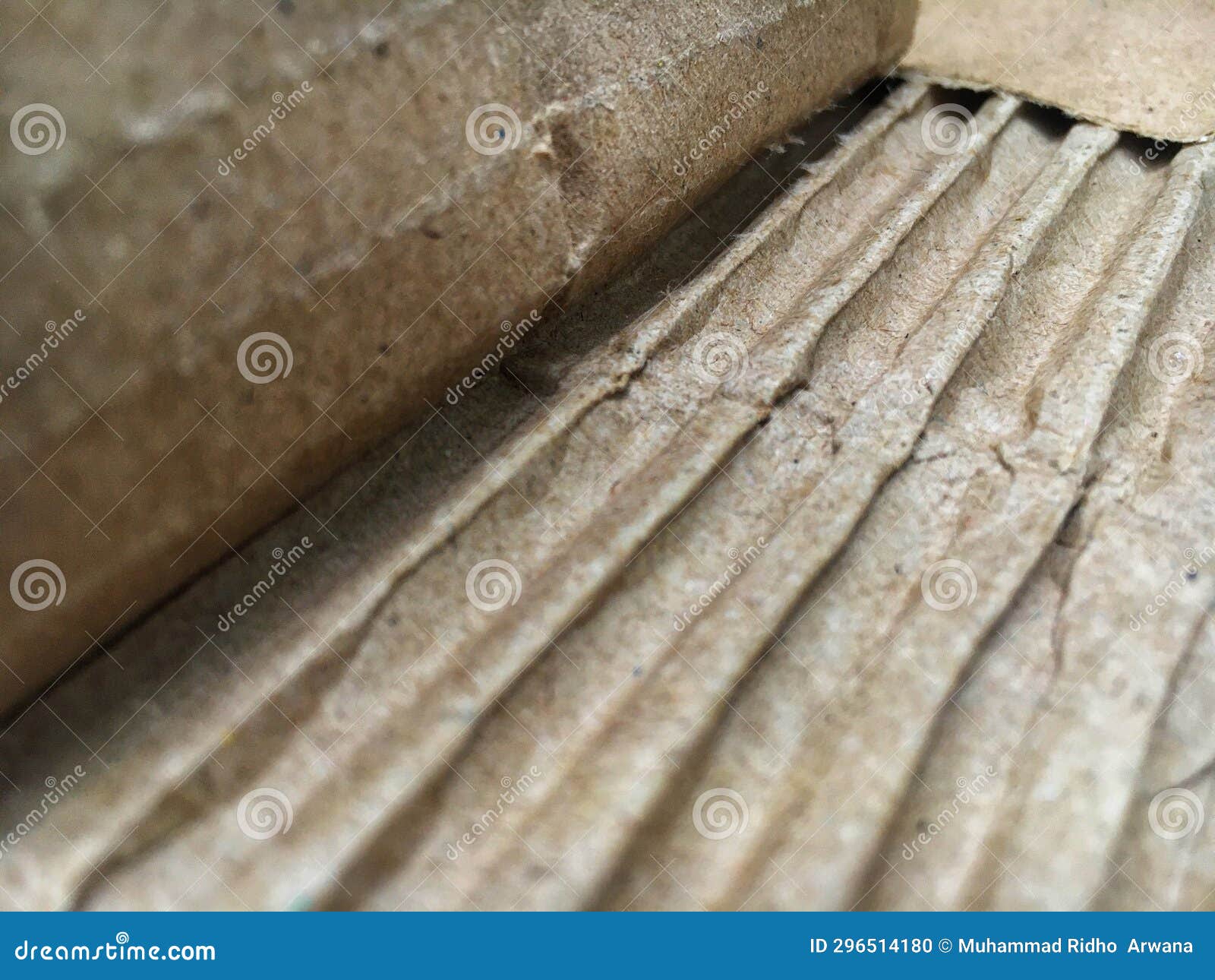 Cardboard cut in half stock photo. Image of great, cardboard - 296514180