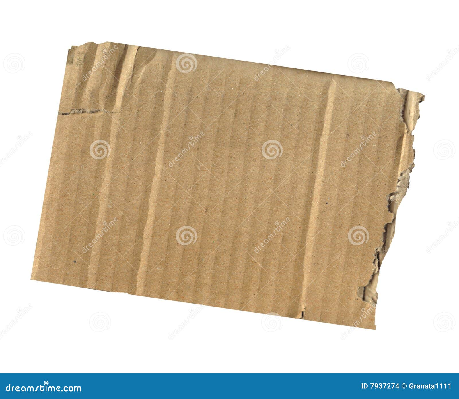 Cardboard cut and torn stock photo. Image of board, industrial - 7937274