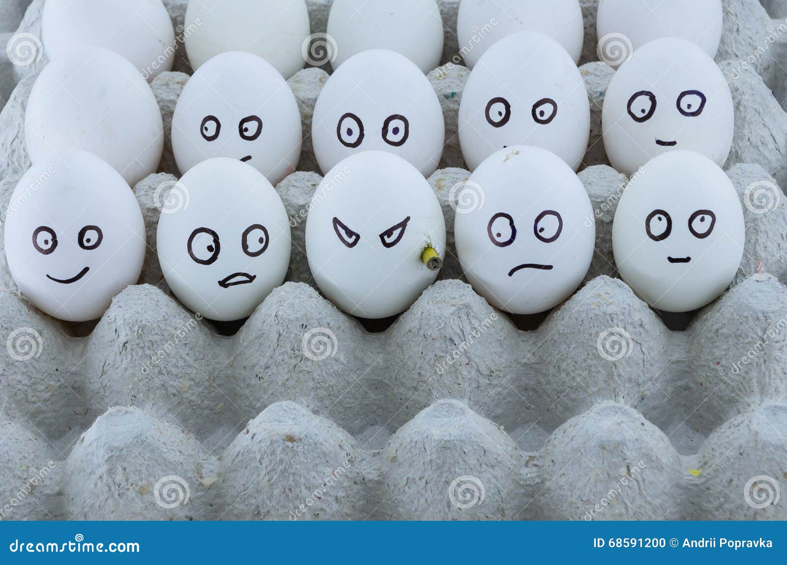 Cardboard Egg Tray with Chicken Eggs. Social Concept of Terrorism ...