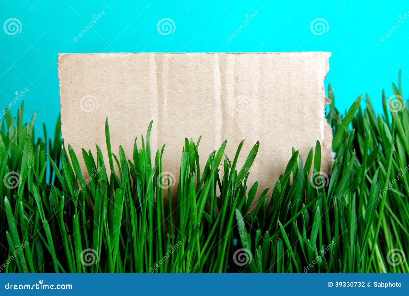 Cardboard on the Grass stock photo. Image of garden, memories - 39330732