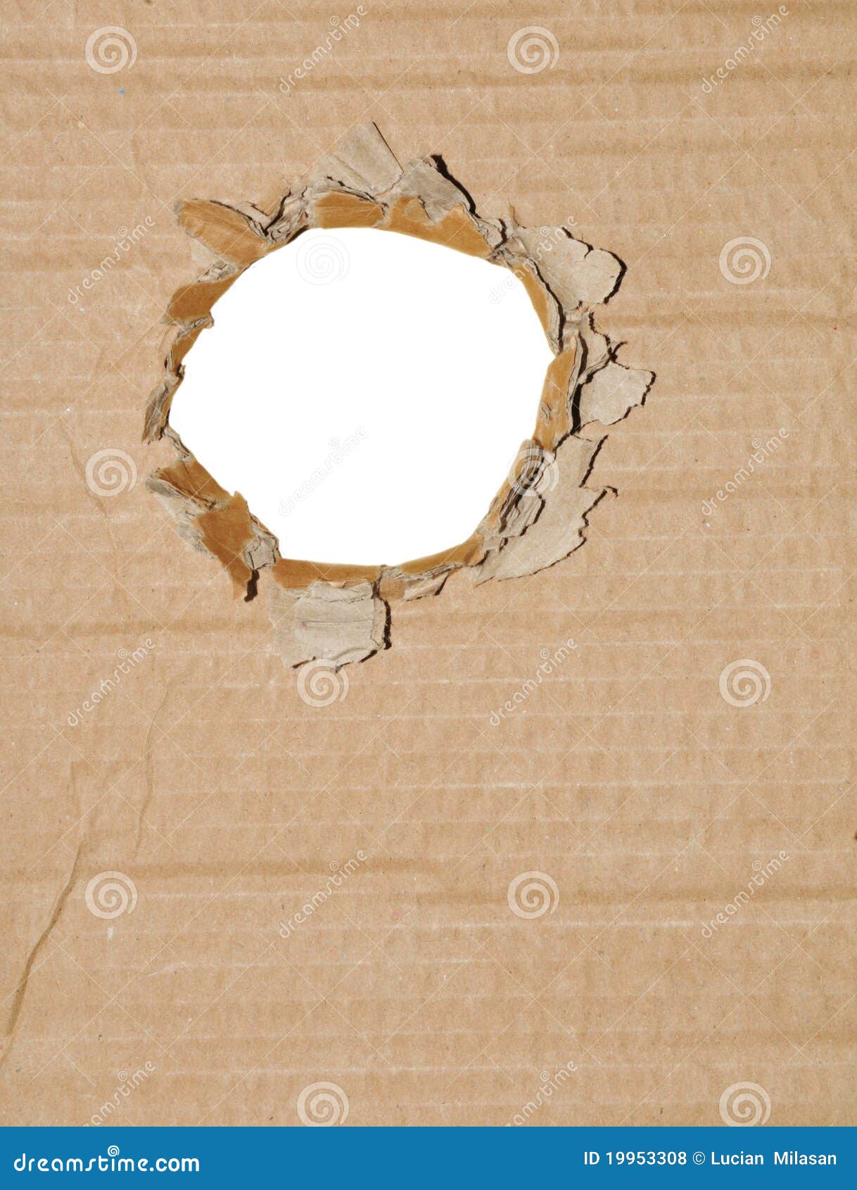 Cardboard hole stock photo. Image of text, tear, paper - 19953308