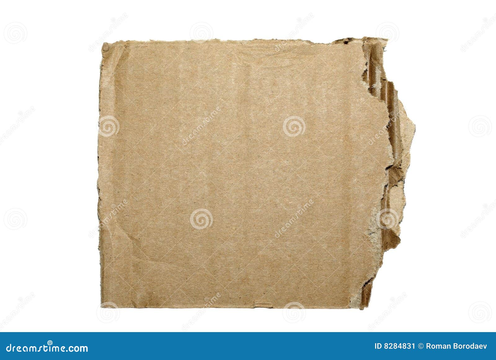 Paper Carton Cardboard Box Isolated Corrugated Ripped Torn Old Rip ...