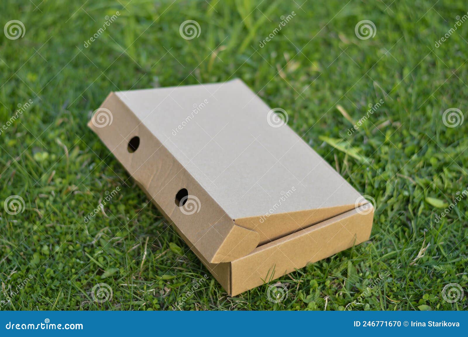 Cardboard Large Parcel Box on the Background of Green Grass Outdoors ...