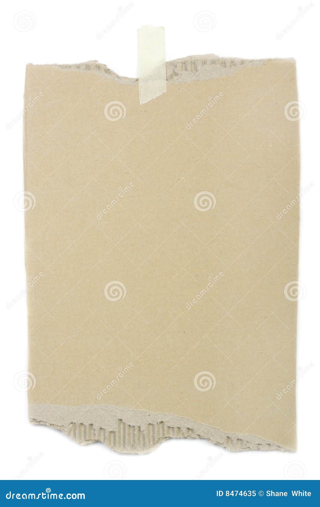 Cardboard note. stock image. Image of memo, copy, ripped - 8474635