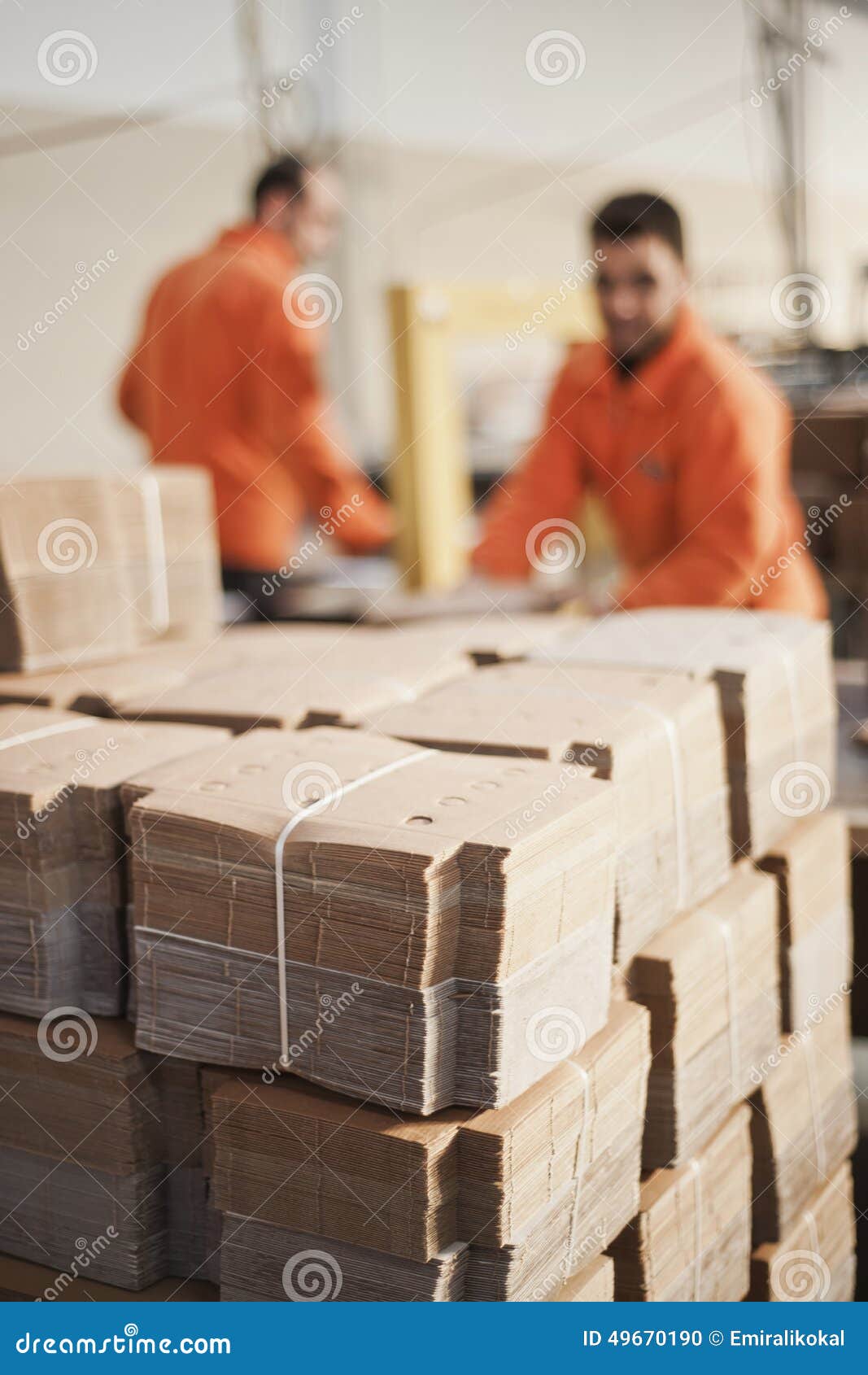 Cardboard Packaging Production Stock Photo - Image of computer ...