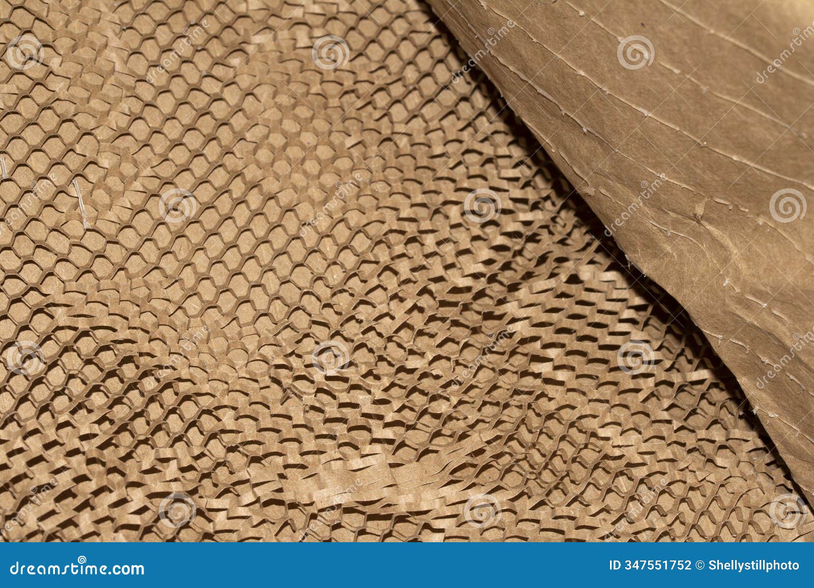 Cardboard Paper Screwed Crunched Up Box Packaging with Honeycomb ...