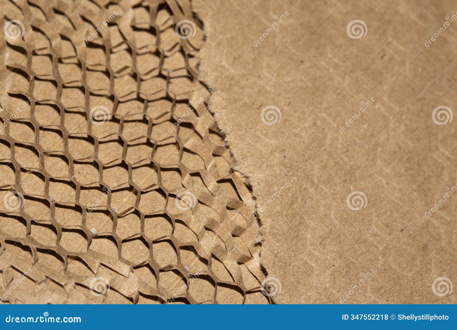 Cardboard Paper Screwed Crunched Up Box Packaging with Honeycomb ...