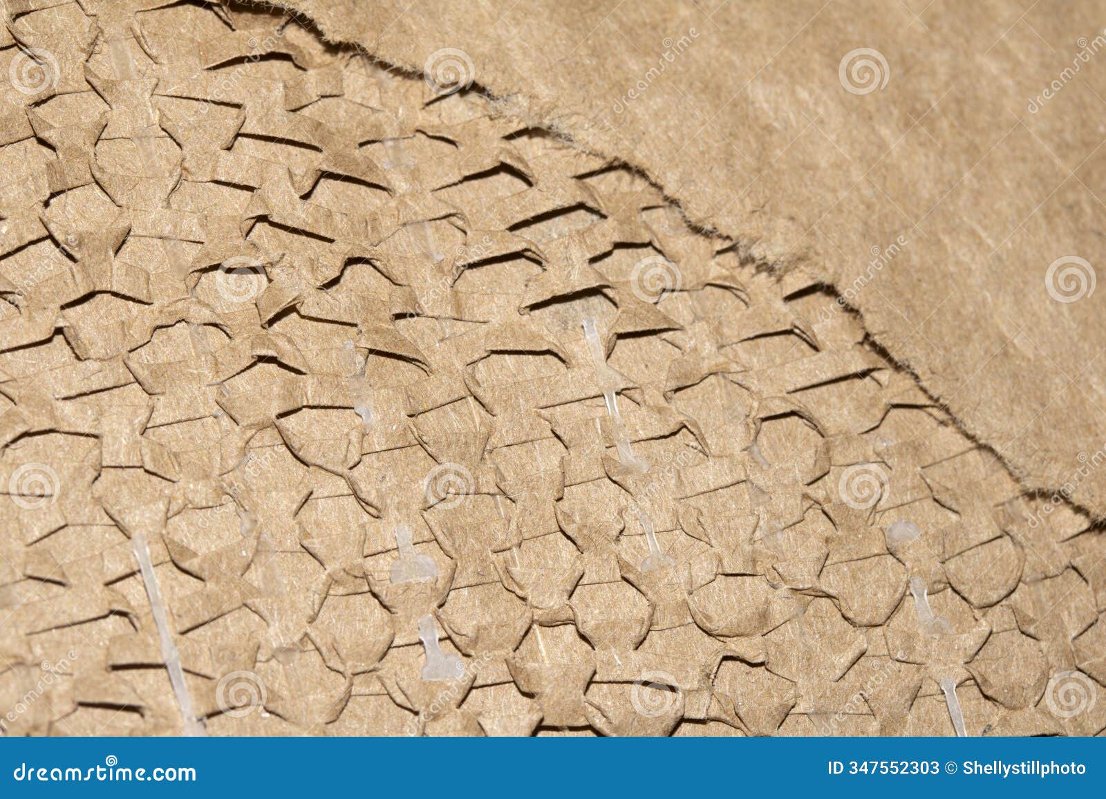 Cardboard Paper Screwed Crunched Up Box Packaging with Honeycomb ...