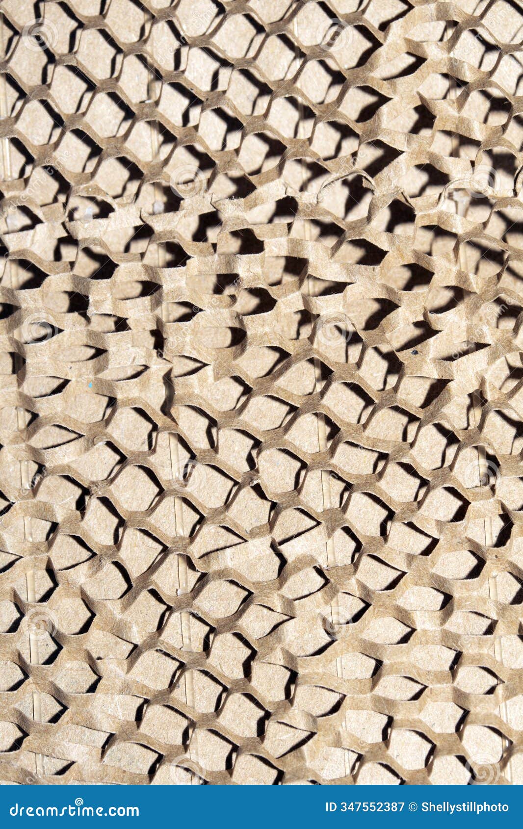 Cardboard Paper Screwed Crunched Up Box Packaging with Honeycomb ...