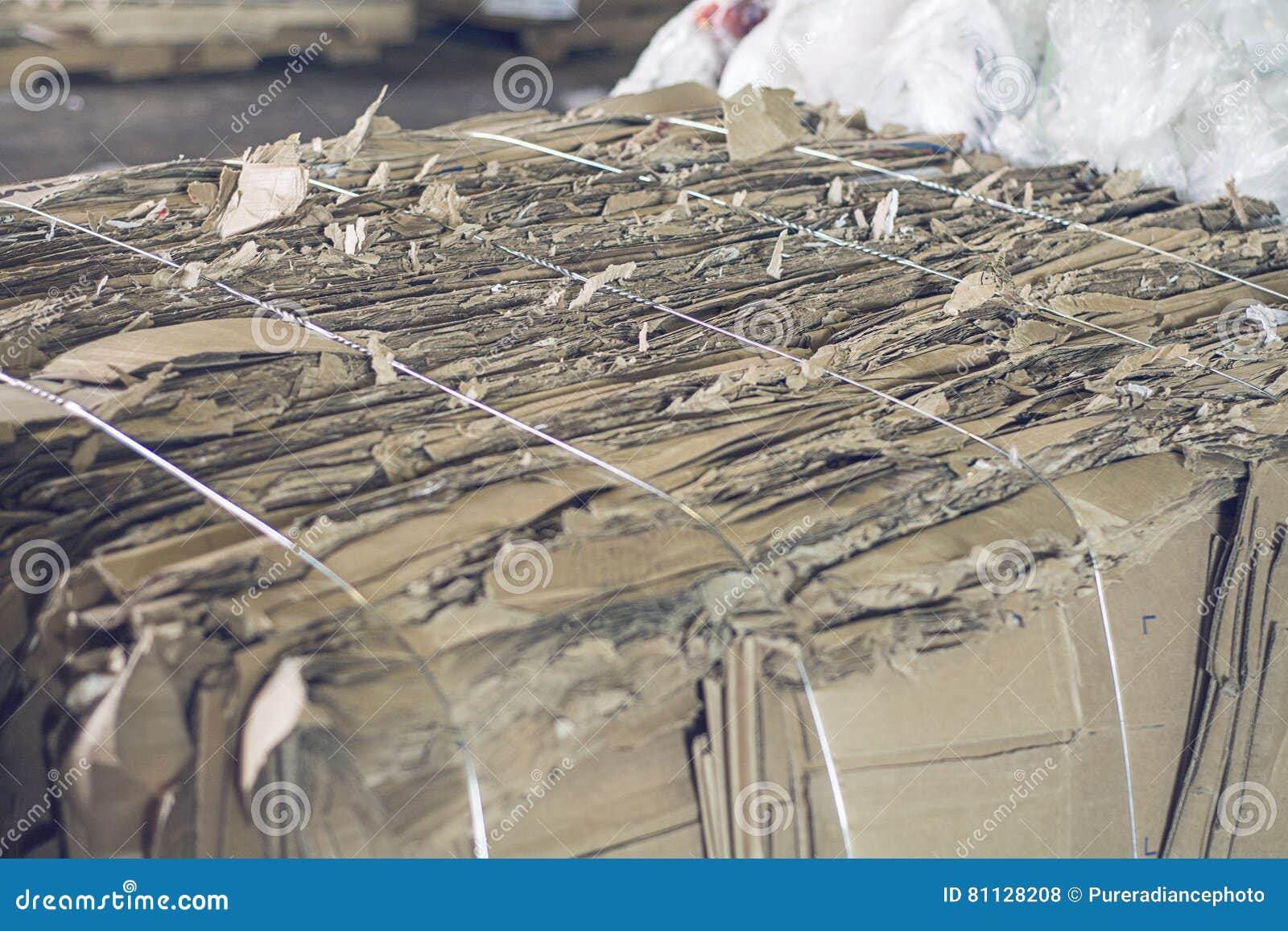 Cardboard and Plastic Baled and Ready To Recycle Stock Photo - Image of ...