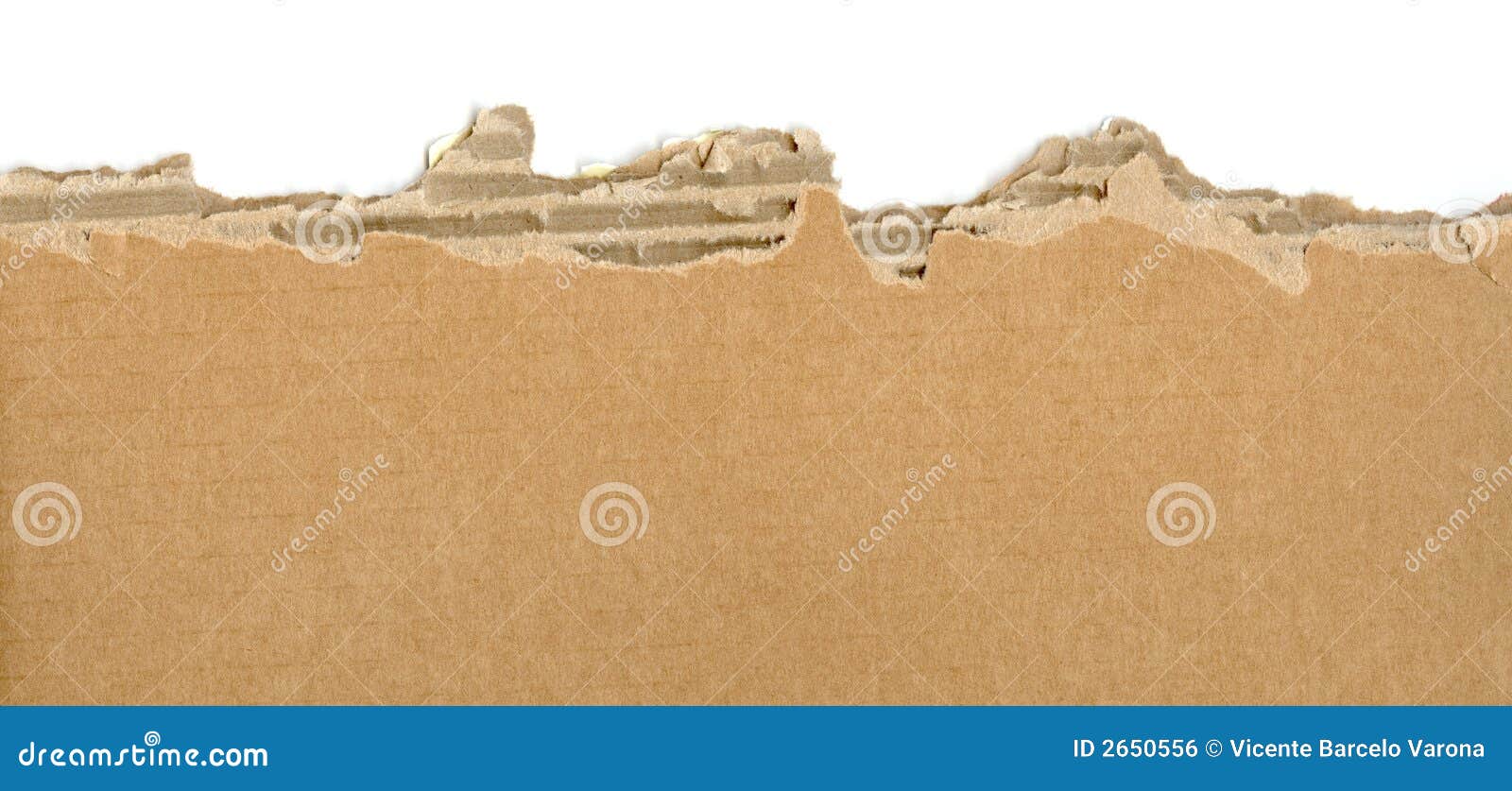 Cardboard ripped stock photo. Image of blank, close, ridge - 2650556