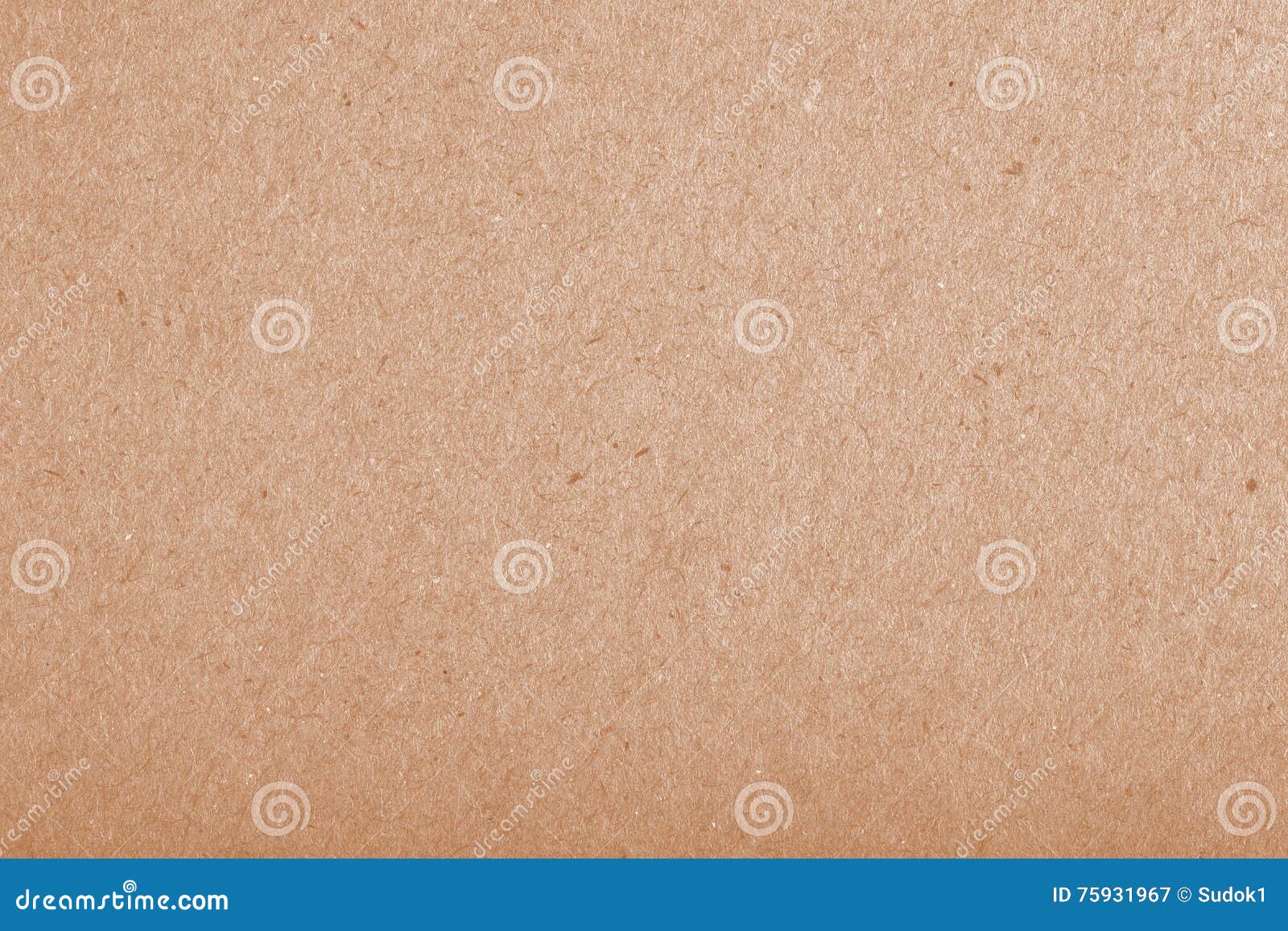 Cardboard Sheet As a Versatile, Simple, Discreet Background Stock Image ...