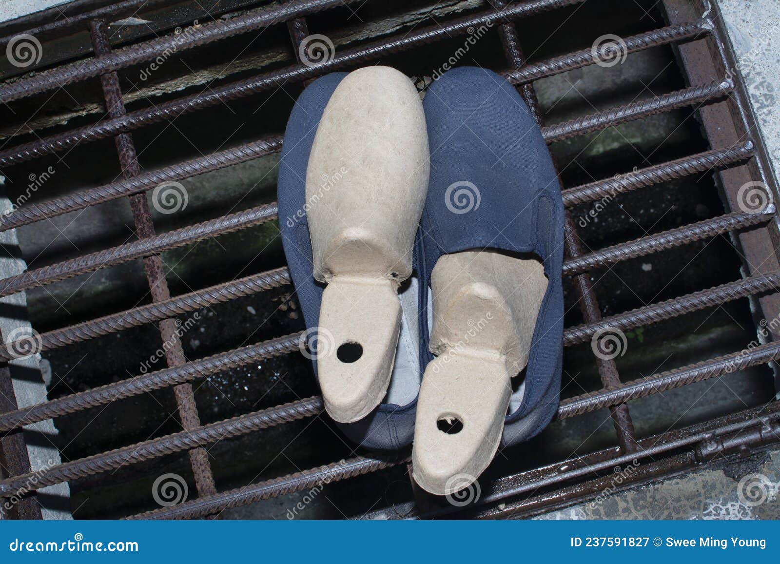 Cardboard Shoe Tree or Insert Accessory Stock Image - Image of pack ...