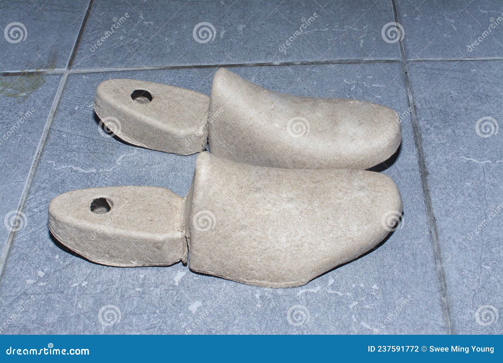 Cardboard Shoe Tree or Insert Accessory Stock Photo - Image of pair ...