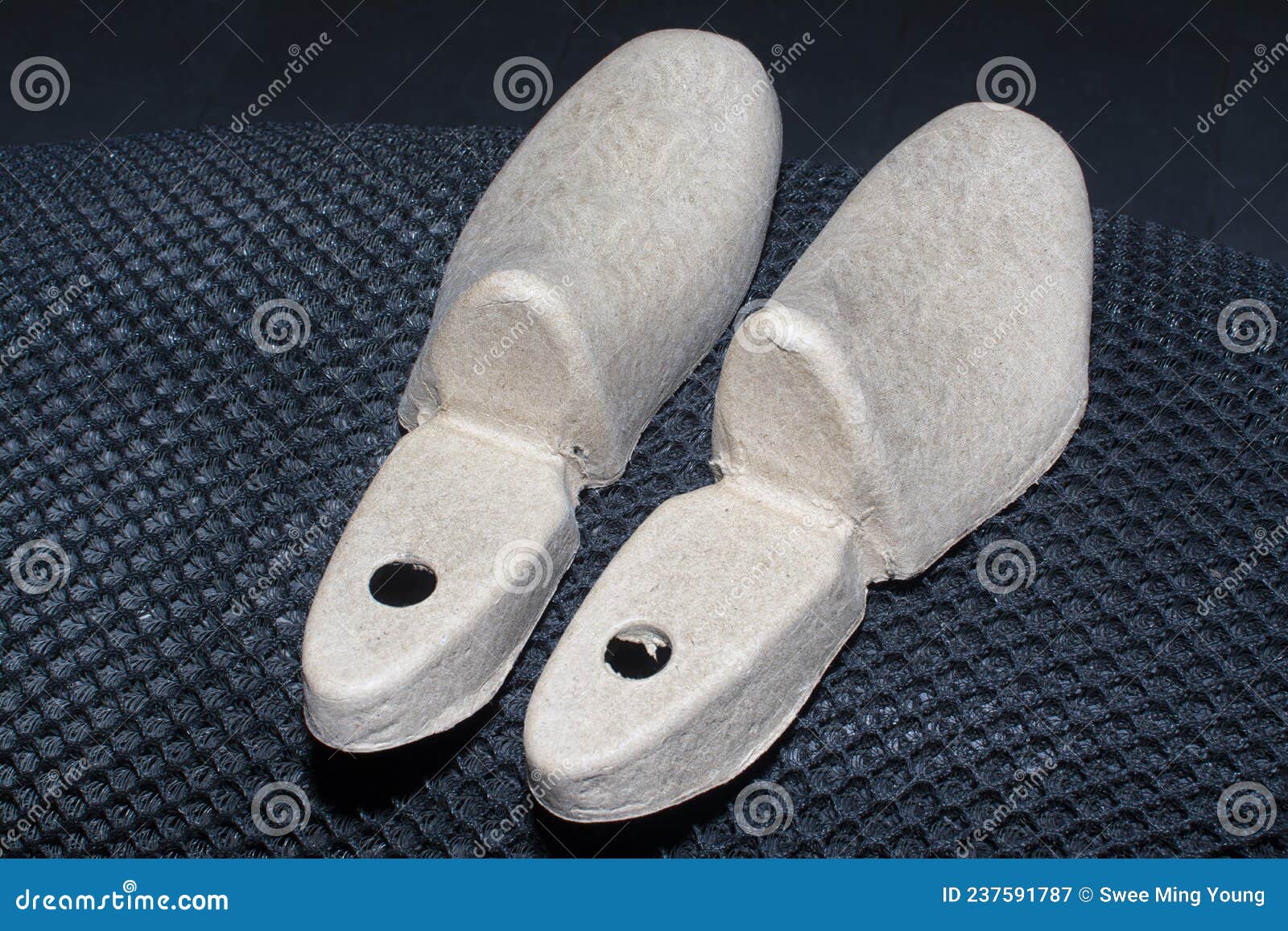 Cardboard Shoe Tree or Insert Accessory Stock Image - Image of pair ...