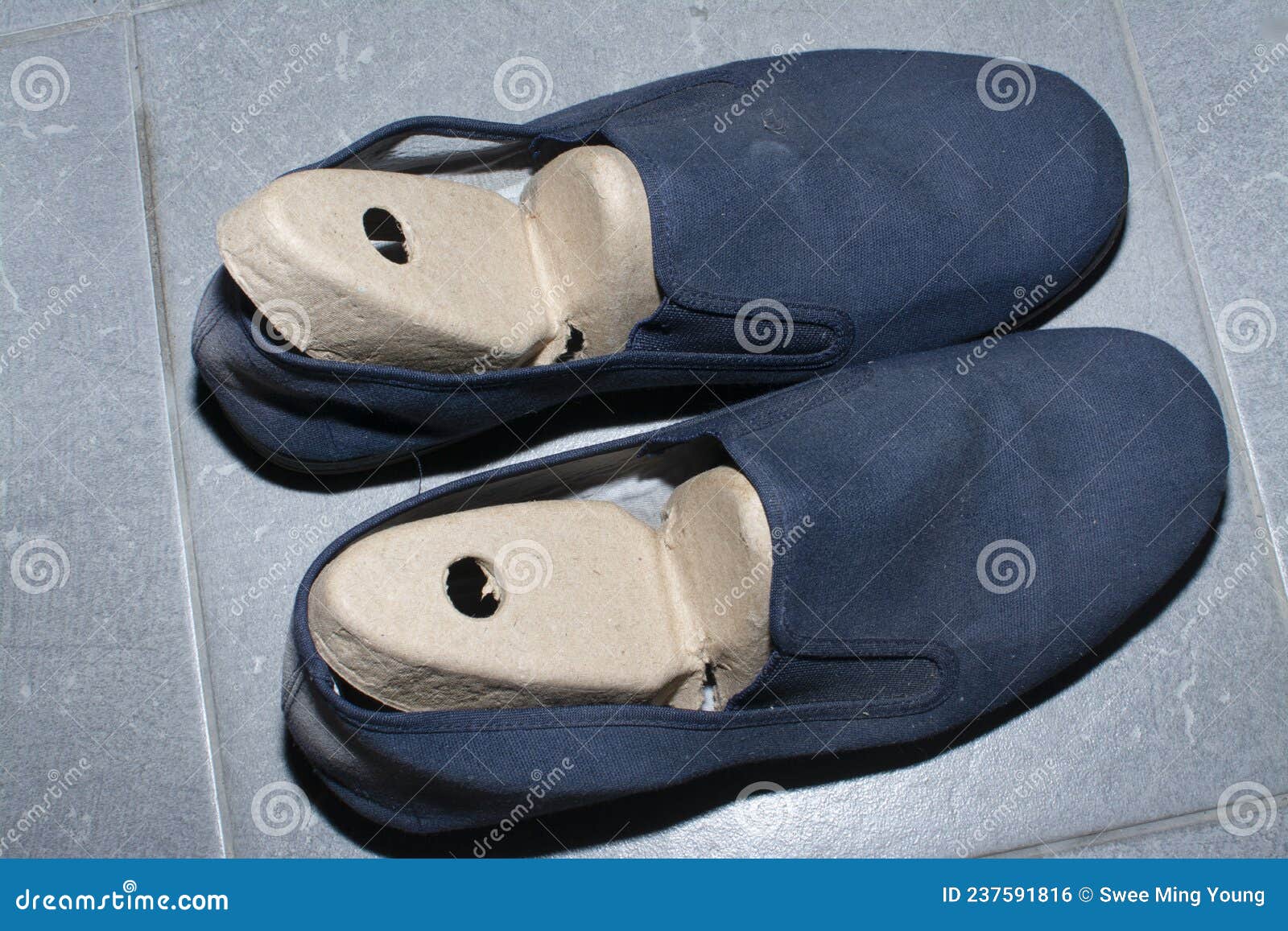 Cardboard Shoe Tree or Insert Accessory Stock Photo - Image of care ...