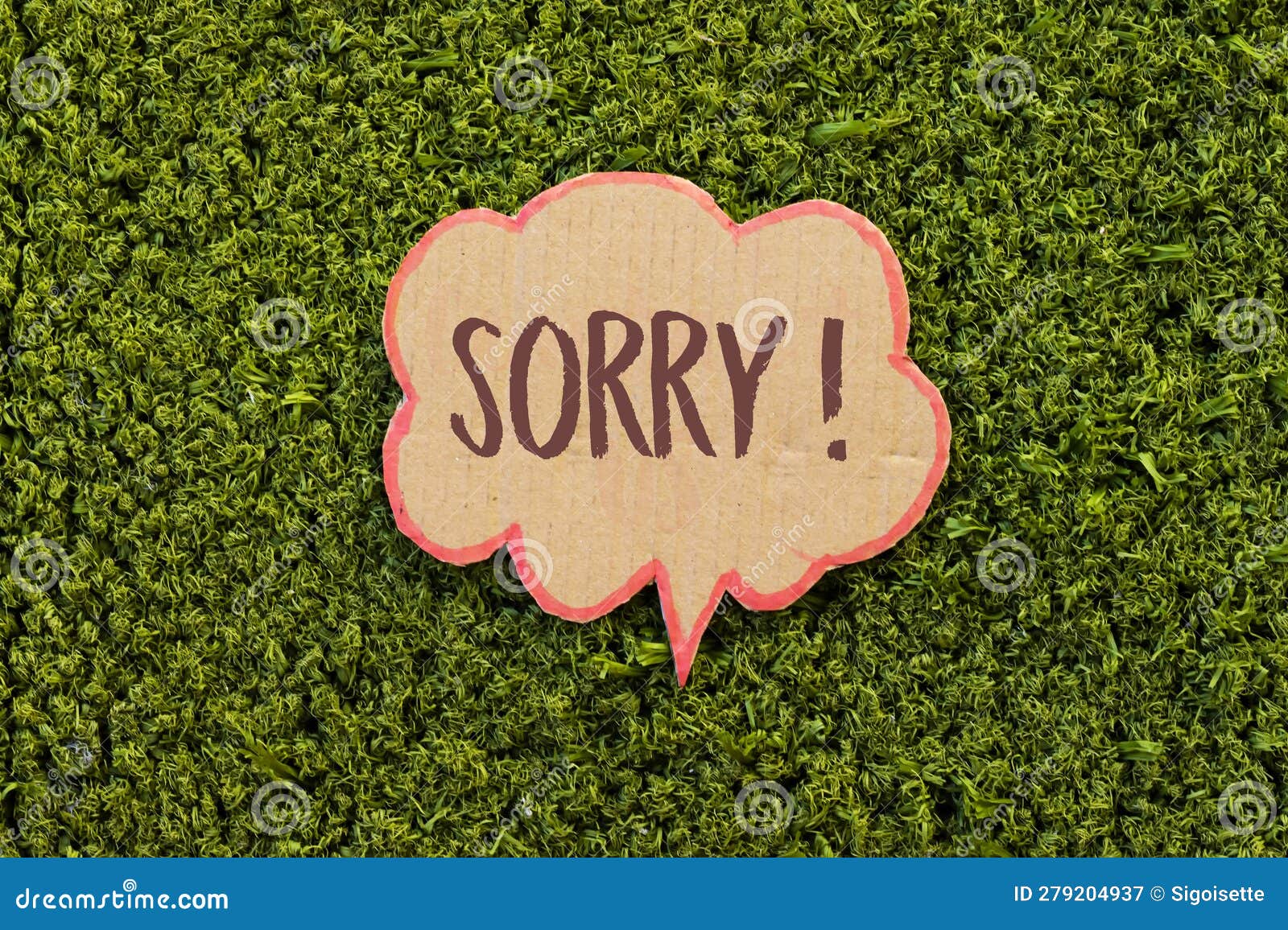 Cardboard with Sorry Concept on Grass Stock Image - Image of board ...